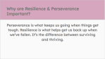 May 2024 SEL THEME – Resilience & Perseverance – AN INTRODUCTION